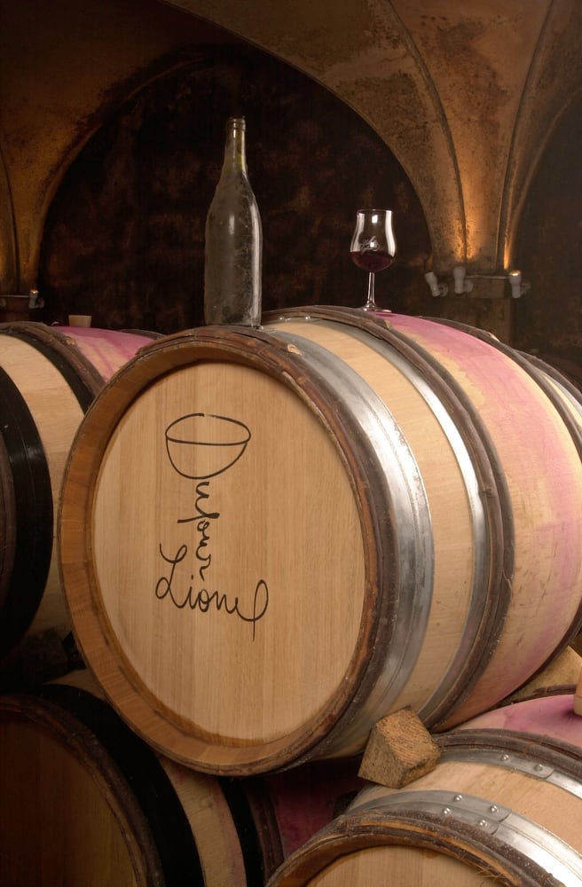 LIONEL DUFOUR - 359 route de ste luce, Nantes, France - Beer, Wine ...