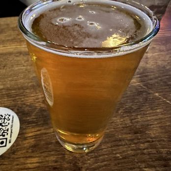 THE IRISH ROVER PUB - Updated December 2025 - 161 Photos & 313 Reviews ...