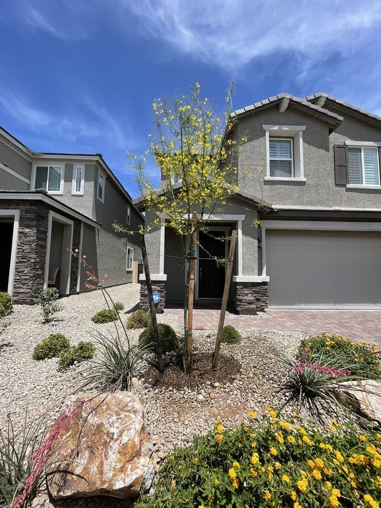 MOON VALLEY NURSERIES TREE SERVICE - Updated December 2025 - 47 Photos ...