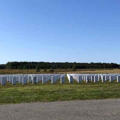 CALVERTON NATIONAL CEMETERY - Updated March 2025 - 89 Photos & 34 ...