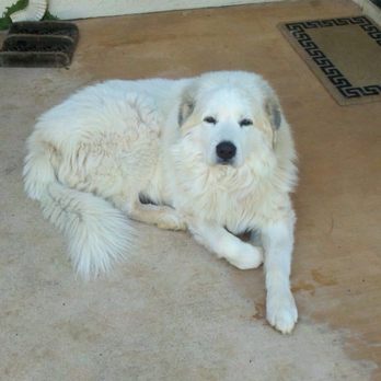 ATON CENTER - Updated January 2026 - 78 Photos & 19 Real Reviews - 3250 Country Rose Cir ...