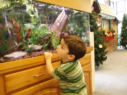 NASHUA PUBLIC LIBRARY - Updated October 2025 - 16 Photos & 11 Reviews ...