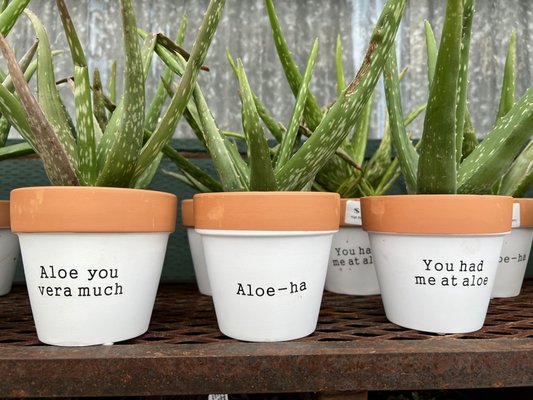 HIGH HAND NURSERY - Updated June 2025 - 663 Photos & 189 Reviews - 3750 ...