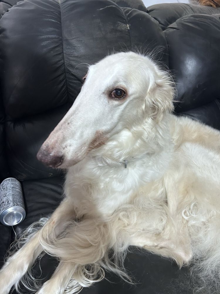 COMPUTER HOSPITAL - Updated December 2025 - 20 Reviews - 653 Chandler ...