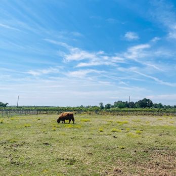 CULLIPHER FARM - Updated October 2025 - 375 Photos & 64 Reviews - 772 ...