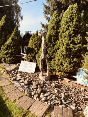 MIKE & TERRY’S OUTDOOR FUN PARK - 38 Photos & 64 Reviews - 6326 114th ...