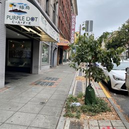 PURPLE DOT CAFE - Updated December 2025 - 939 Photos & 865 Reviews ...