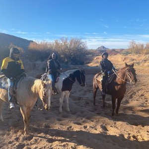 WILD WEST HORSEBACK ADVENTURES - 227 Photos & 77 Reviews - 2470 ...