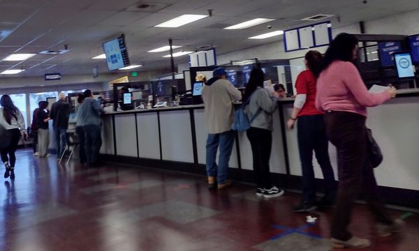 DEPARTMENT OF MOTOR VEHICLES - Updated October 2025 - 49 Photos & 180 ...