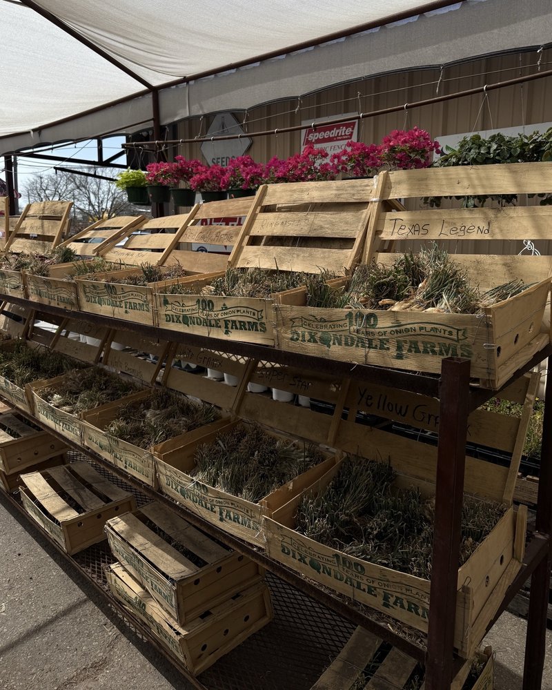 DENNIS’ FARM STORE - Updated June 2026 - 19 Reviews - 320 Bell Pl ...
