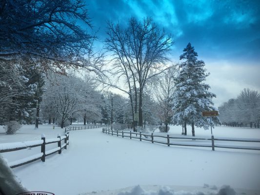 COOK PARK - Updated September 2025 - Shambrook Pkwy, Colonie, New York ...