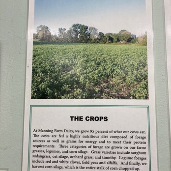 MANNING FARM DAIRY - Updated December 2025 - 34 Photos & 21 Reviews ...