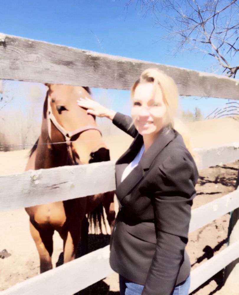 ROSES RIDING ACADEMY - Updated August 2025 - 20 Photos - 236 Bush Ln ...