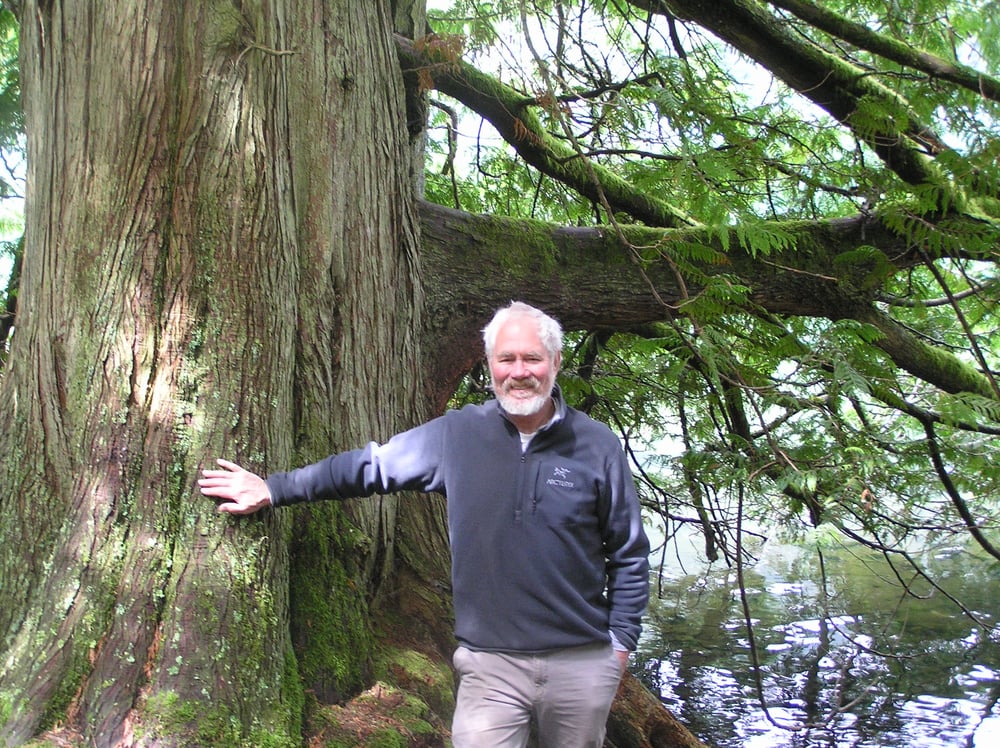 CLEAR VIEW TREE SERVICE - Updated December 2025 - Eastsound, Washington ...