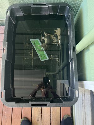 TRIGUARD PEST CONTROL - Updated December 2025 - 61 Photos & 416 Reviews ...