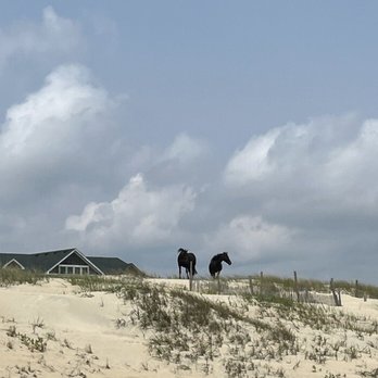 COROLLA OUTBACK ADVENTURES - Updated December 2025 - 109 Photos & 67 ...