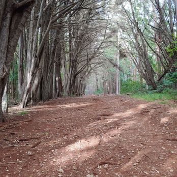 WAIHOU SPRING TRAIL - Updated December 2025 - 70 Photos & 22 Reviews ...