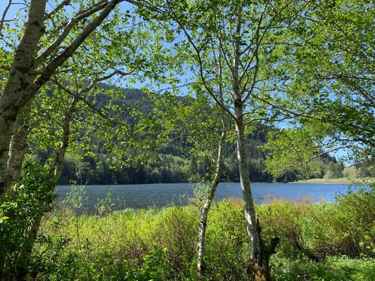 BEAVER LAKE - Updated January 2026 - Burnt Mountain Rd., Sappho ...