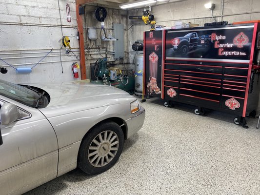 ALPHA CARRIER EXPERTS - Updated October 2025 - 46 Photos & 26 Reviews ...