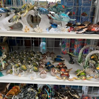 THE FLORIDA SHELL SHOP - Updated January 2026 - 35 Photos & 44 Reviews ...