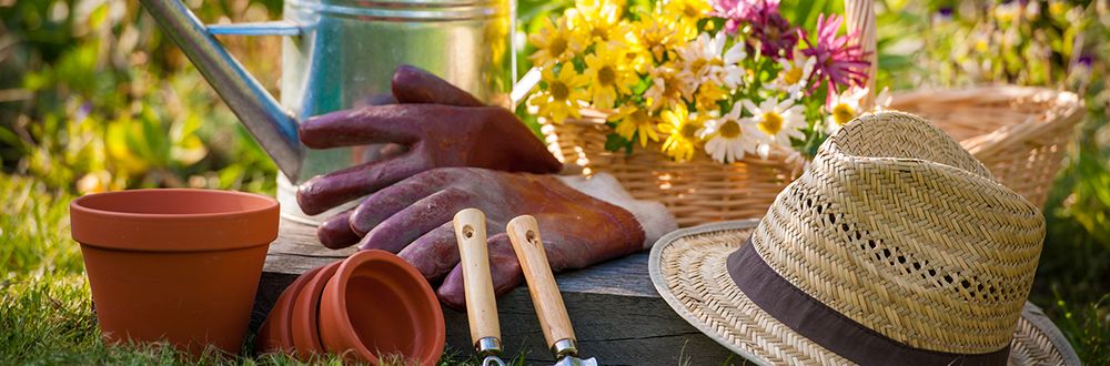 LEWIS LAWN CARE - 11 Photos - Osceola, Arkansas - Lawn Services - Phone ...