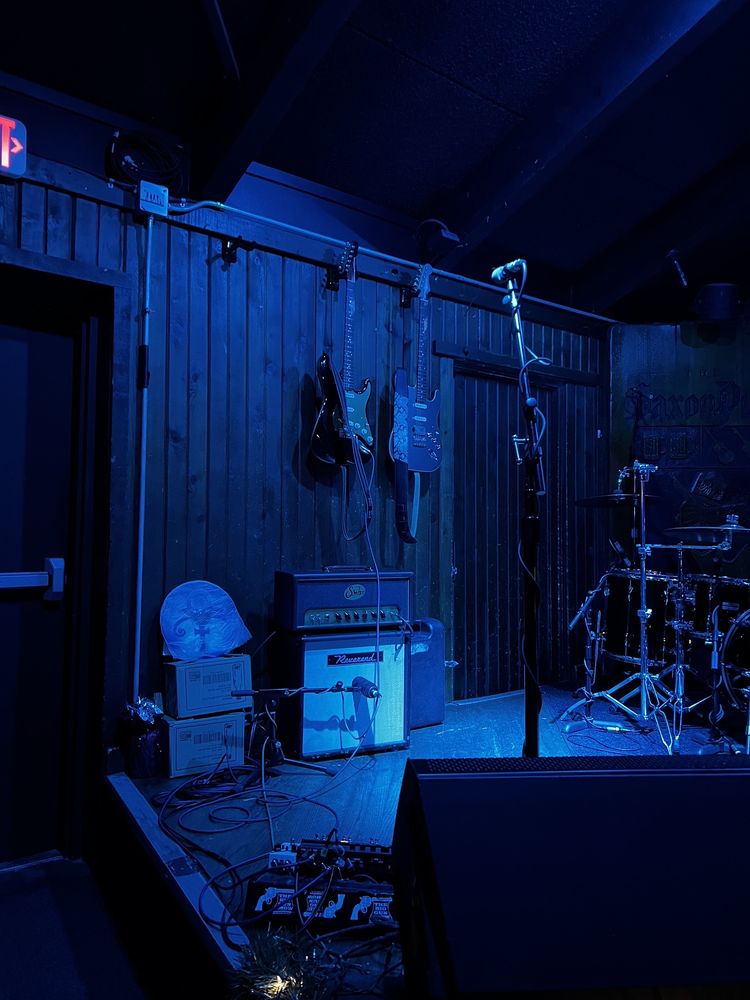 THE SAXON PUB - Updated January 2026 - 193 Photos & 223 Reviews - 1320 ...