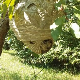 Nature's Way Pest Control Reviews | Read Customer Service Reviews of ...