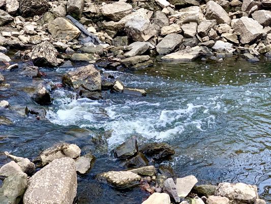 SIMPSON PARK - Updated January 2025 - 138 Photos - 1224 Marshall Rd ...