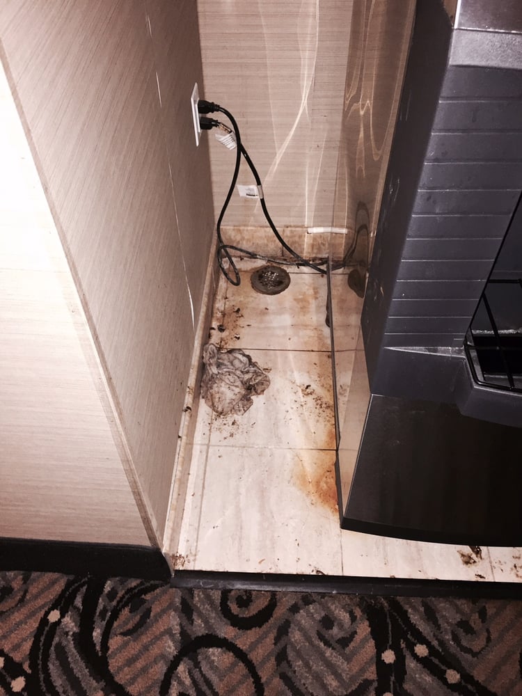 BEST WESTERN PLUS ENVY HOTEL - Updated December 2025 - 105 Photos & 60 ...