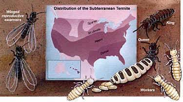 MODERN EXTERMINATING COMPANY - Updated December 2025 - 27 Reviews - 627 ...