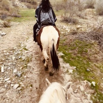PONDEROSA STABLES - Updated September 2024 - 235 Photos & 192 Reviews ...