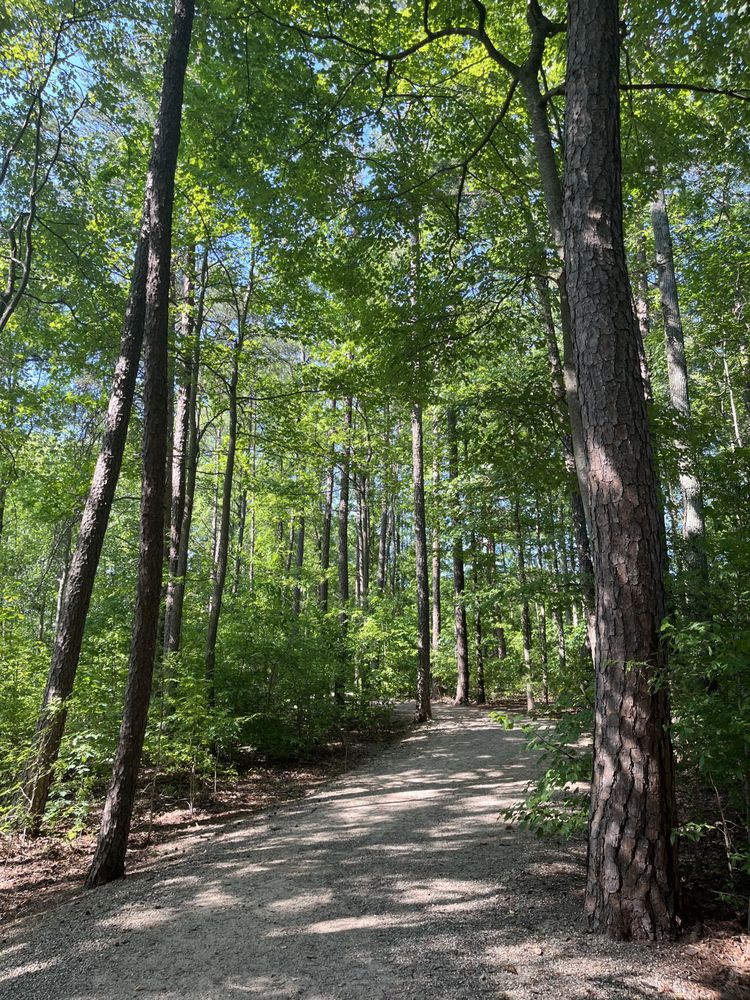 PARHAM PARK - Updated December 2025 - 15 Photos - 715 Lake Park Dr ...