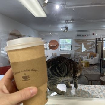 KITTY CAT LOUNGE - Updated December 2025 - 49 Photos - 946 E Orange St ...