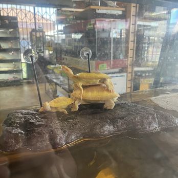 VALLEY PET & SUPPLY - Updated December 2025 - 217 Photos & 63 Reviews ...