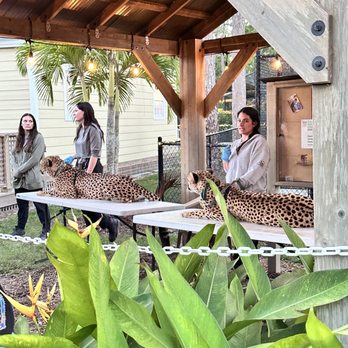 PANTHER RIDGE CONSERVATION CENTER - Updated December 2025 - 317 Photos ...