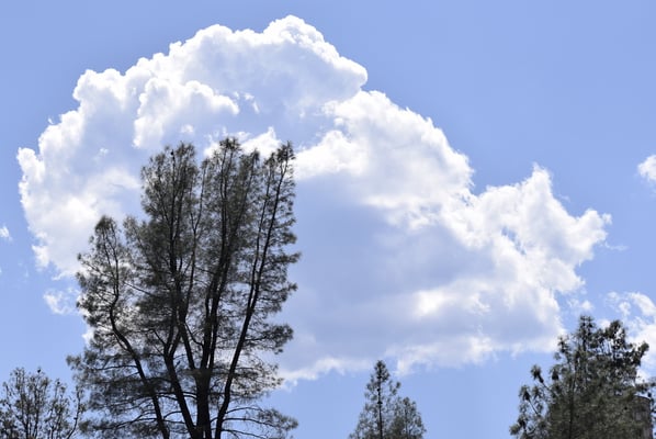 R-WILD HORSE RANCH - 62 Photos & 18 Reviews - 6700 Hwy 36 W, Platina ...