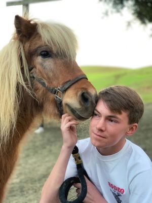 GARROD FARMS RIDING STABLES - 155 Photos & 186 Reviews - 22647 Garrod ...