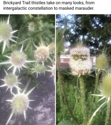 SEOUL HOUSE KOREAN RESTAURANT - Updated January 2026 - 236 Photos & 144 ...