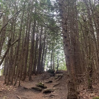 MONO CLIFFS PROVINCIAL PARK - Updated June 2024 - 88 Photos & 10 ...