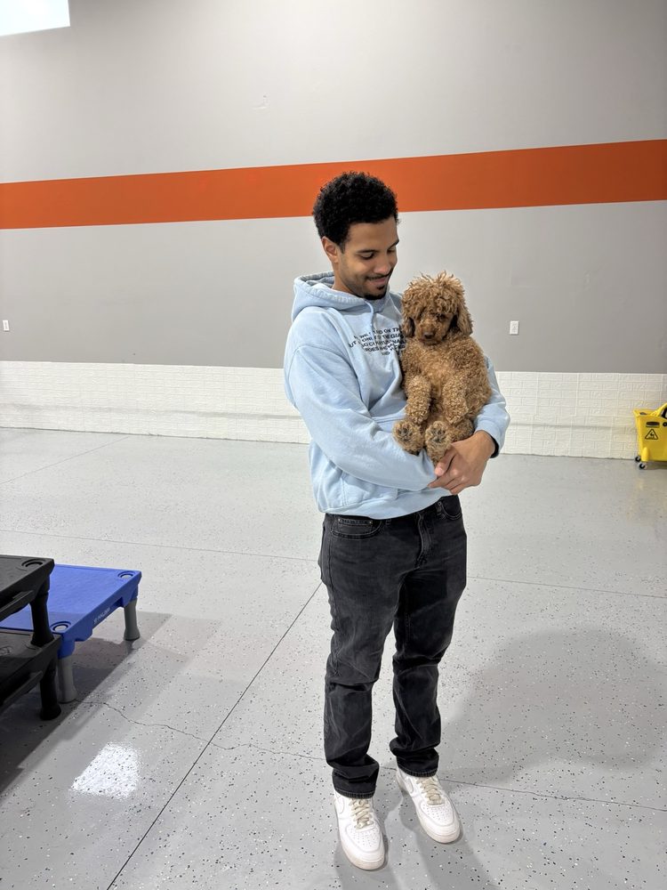 HAPPY DOGS 4 LIFE - Updated December 2025 - Request an Appointment - 14 ...