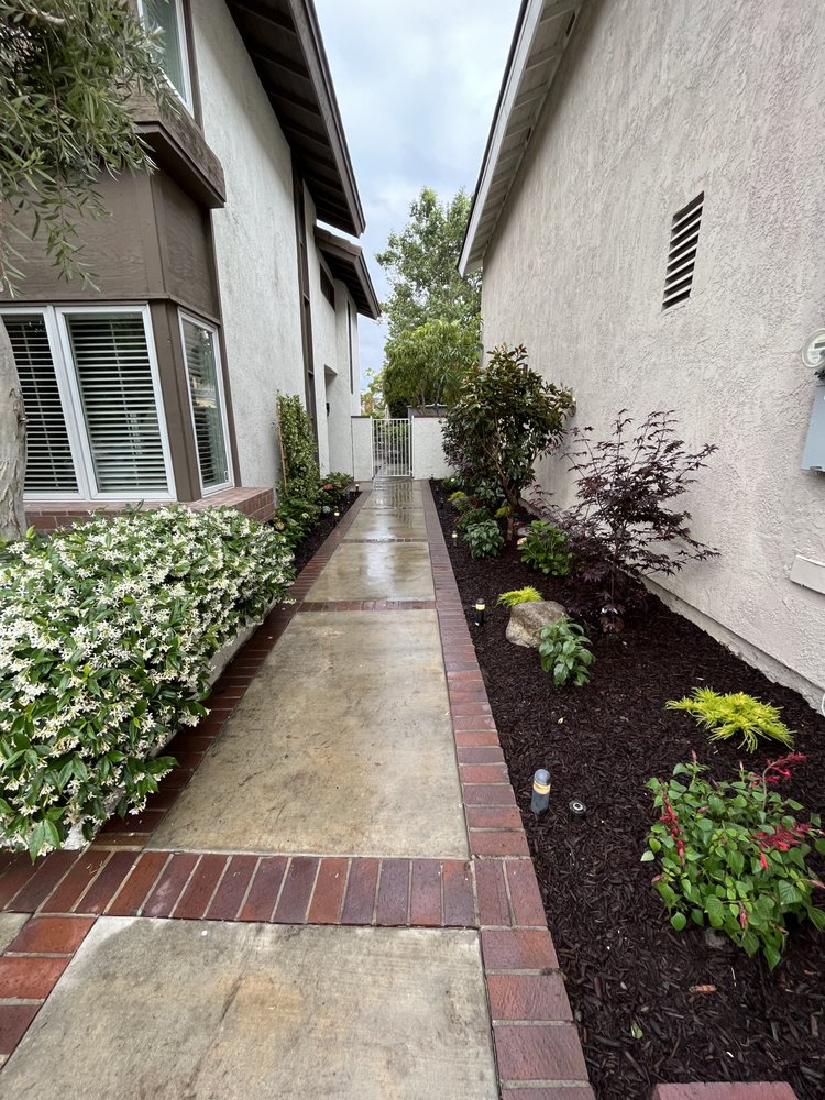 LIVE OAK LANDSCAPE AND MAINTENANCE - Updated October 2025 - 17 Photos ...