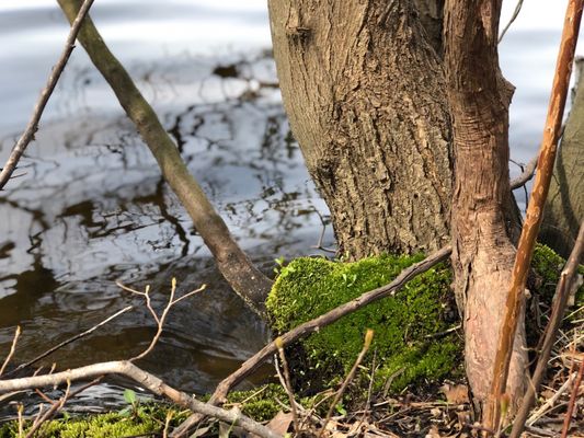 BLYDENBURGH PARK - Updated March 2026 - 197 Photos & 72 Reviews - 100 ...