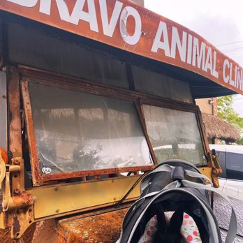 BRAVO ANIMAL CLINIC - Updated January 2026 - 30 Photos & 60 Reviews ...
