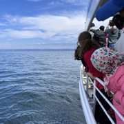 PUGET SOUND EXPRESS - 90 Photos & 35 Reviews - Whale Watching Tours ...