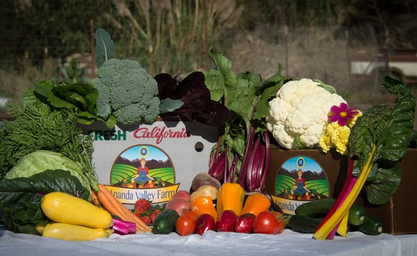 ANANDA VALLEY FARM - Updated October 2025 - 13 Photos & 10 Reviews ...