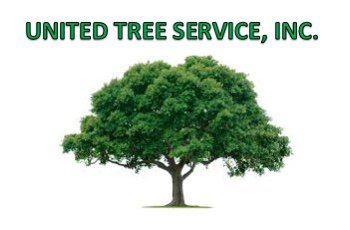 UNITED TREE SERVICE - Updated October 2025 - 16 Reviews - Poway ...