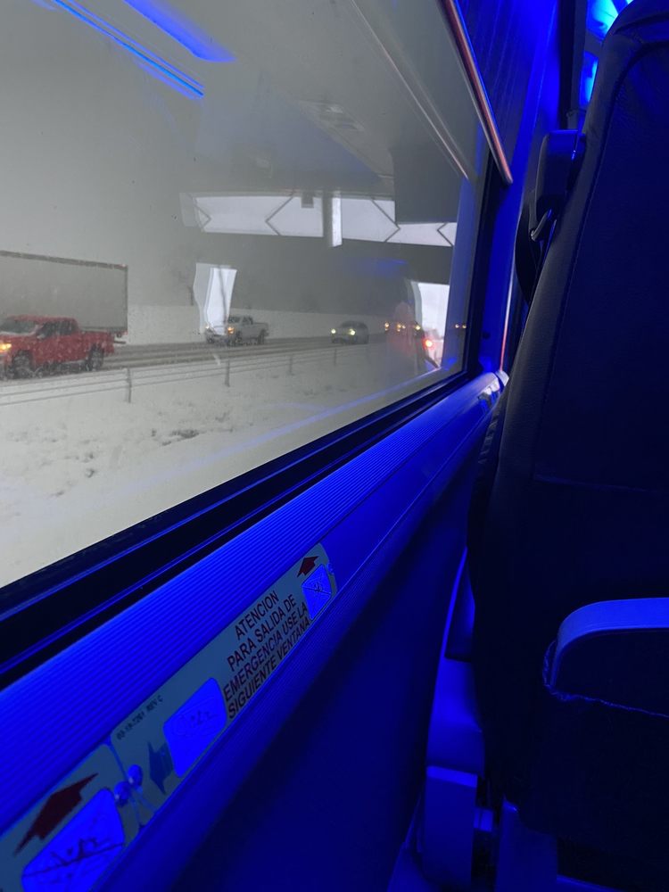 VONLANE - 63 Photos & 109 Reviews - Buses - Dallas St And Louisiana St ...