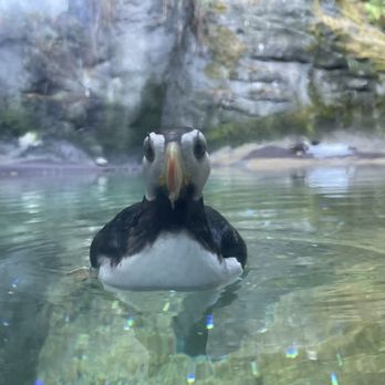 Photos of POINT DEFIANCE ZOO & AQUARIUM - Updated August 2024 - 1522 ...