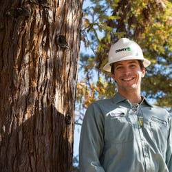 THE DAVEY TREE EXPERT COMPANY - 20 Photos & 37 Reviews - 2617 S Vasco ...