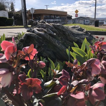 TITLOW BEACH AND PARK - Updated July 2025 - 126 Photos & 39 Reviews ...